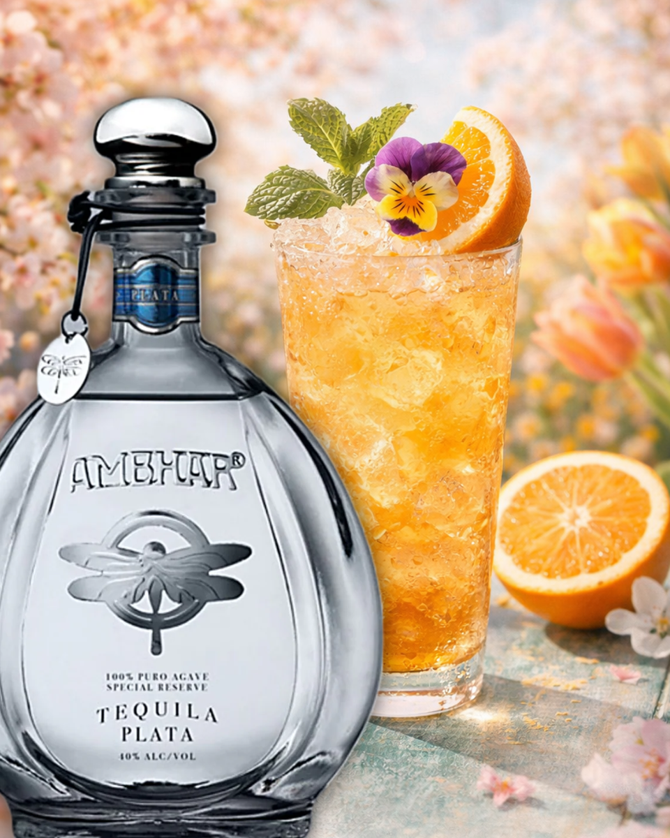 Five Trendy Tequila Cocktails for Spring. – Ambhar | The Dragonfly Tequila