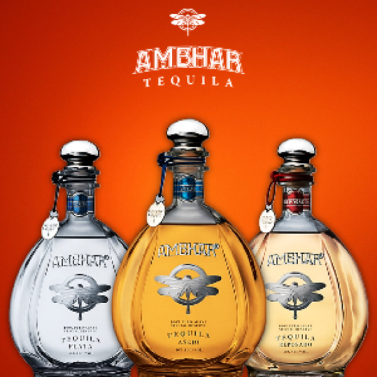Ambhar Tequila – Official Site of Ambhar Tequila® – Ambhar | The ...